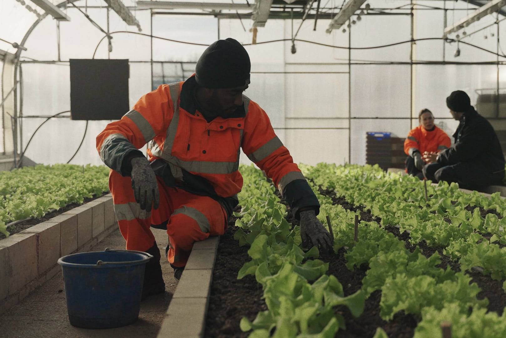 25 ans CIGL Sanem : Un Portrait • Suessem, je t'aime